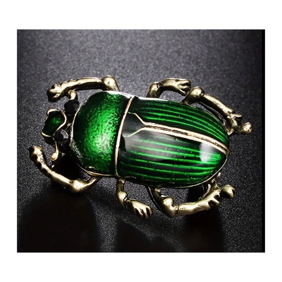 Jewelry | Green Beetle Brooch | Poshmark